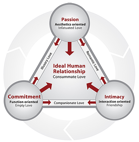 Emotional Design with A.C.T. - Part 2 - Boxes and Arrows